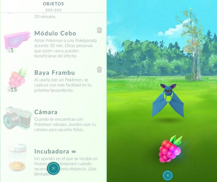 Cuáles son los tipos de Bayas en Pokémon GO